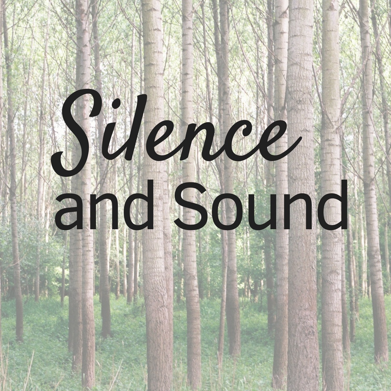 Silence And Sound Quotes